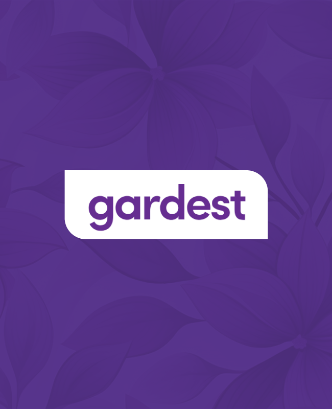 Codelive - Coding ideas to live